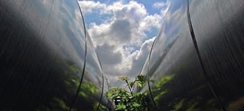 Excavation damage prevention and safety | Ticket Risk Assessment ...