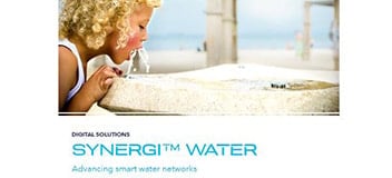 Unidirectional Flushing - Synergi Liquid