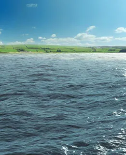 Is water the next carbon?